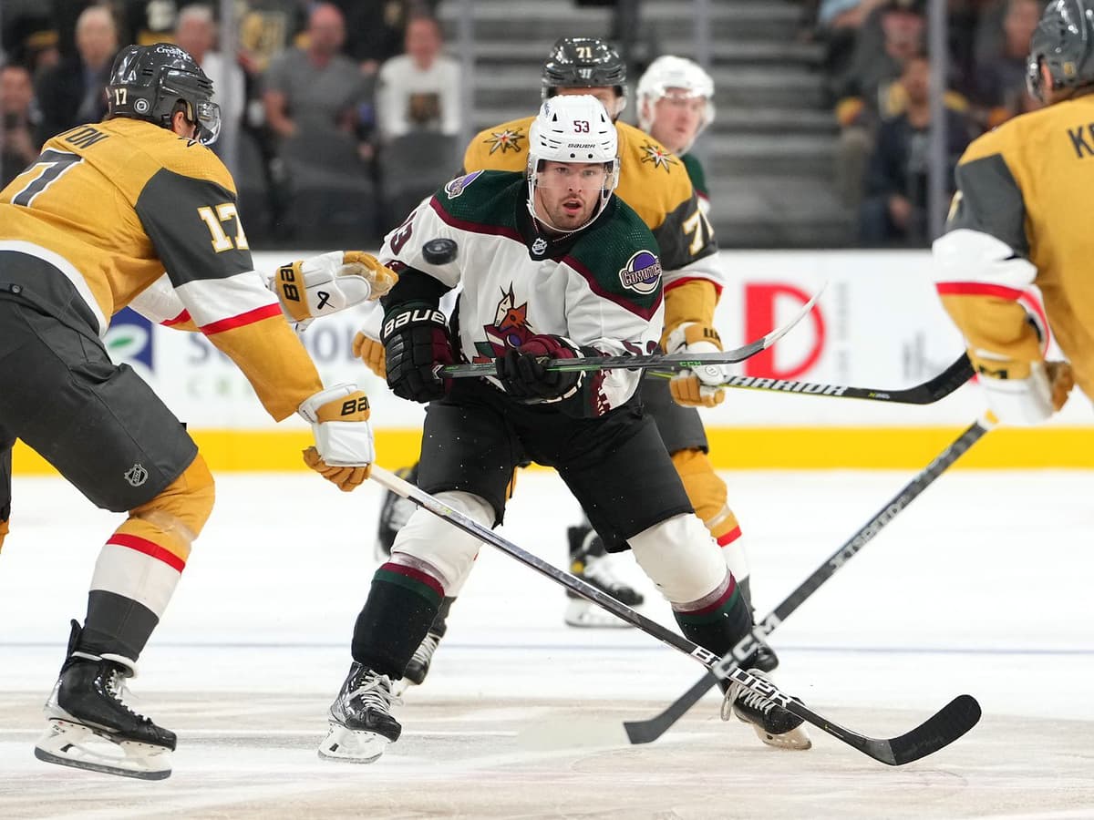 NHL fines Michael Carcone for roughing