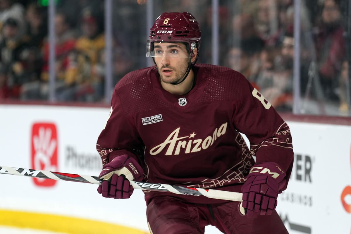 Nick Schmaltz’s bumpy road to stardom in Arizona offers critical ...