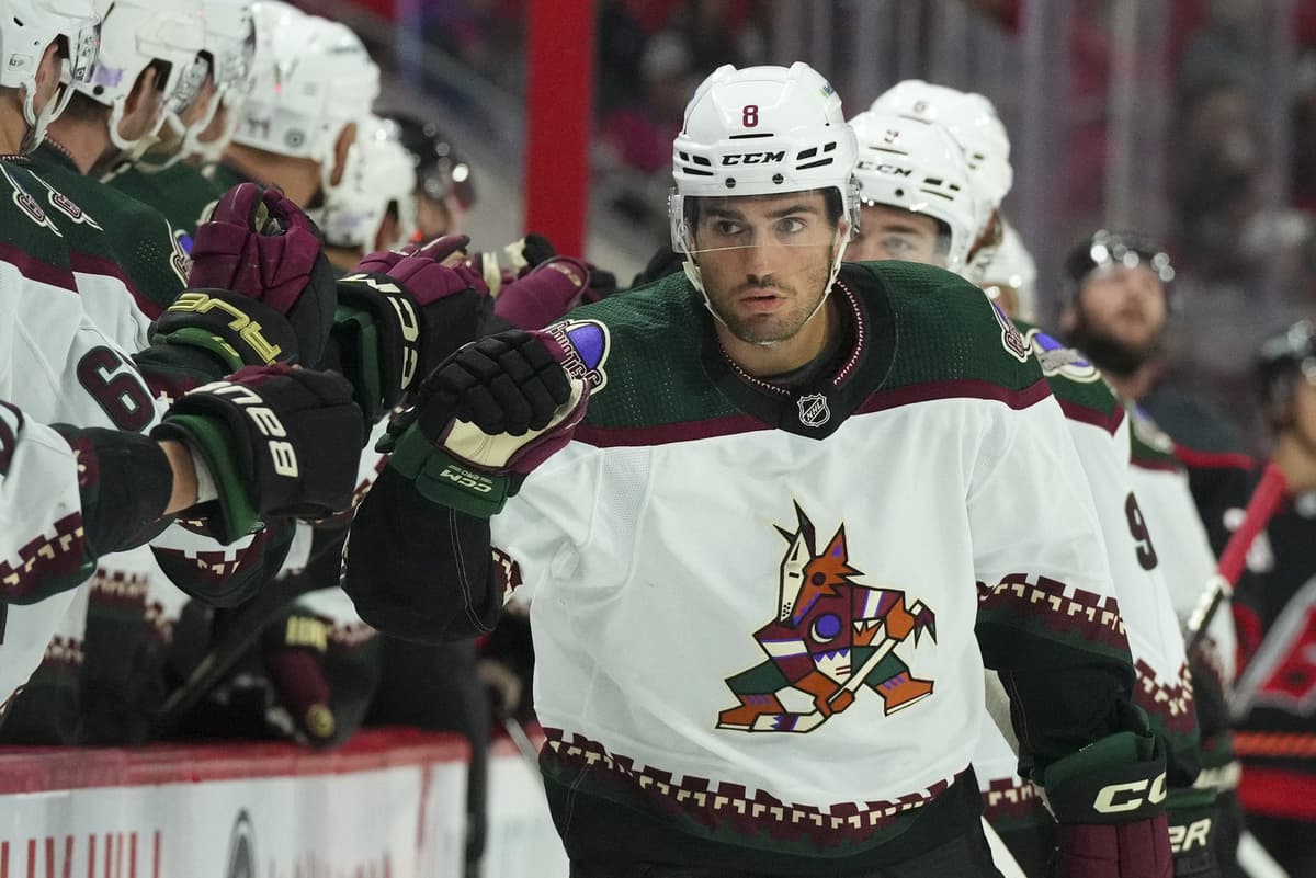 The Arizona Coyotes have the flexibility to sell more than just Jakob ...