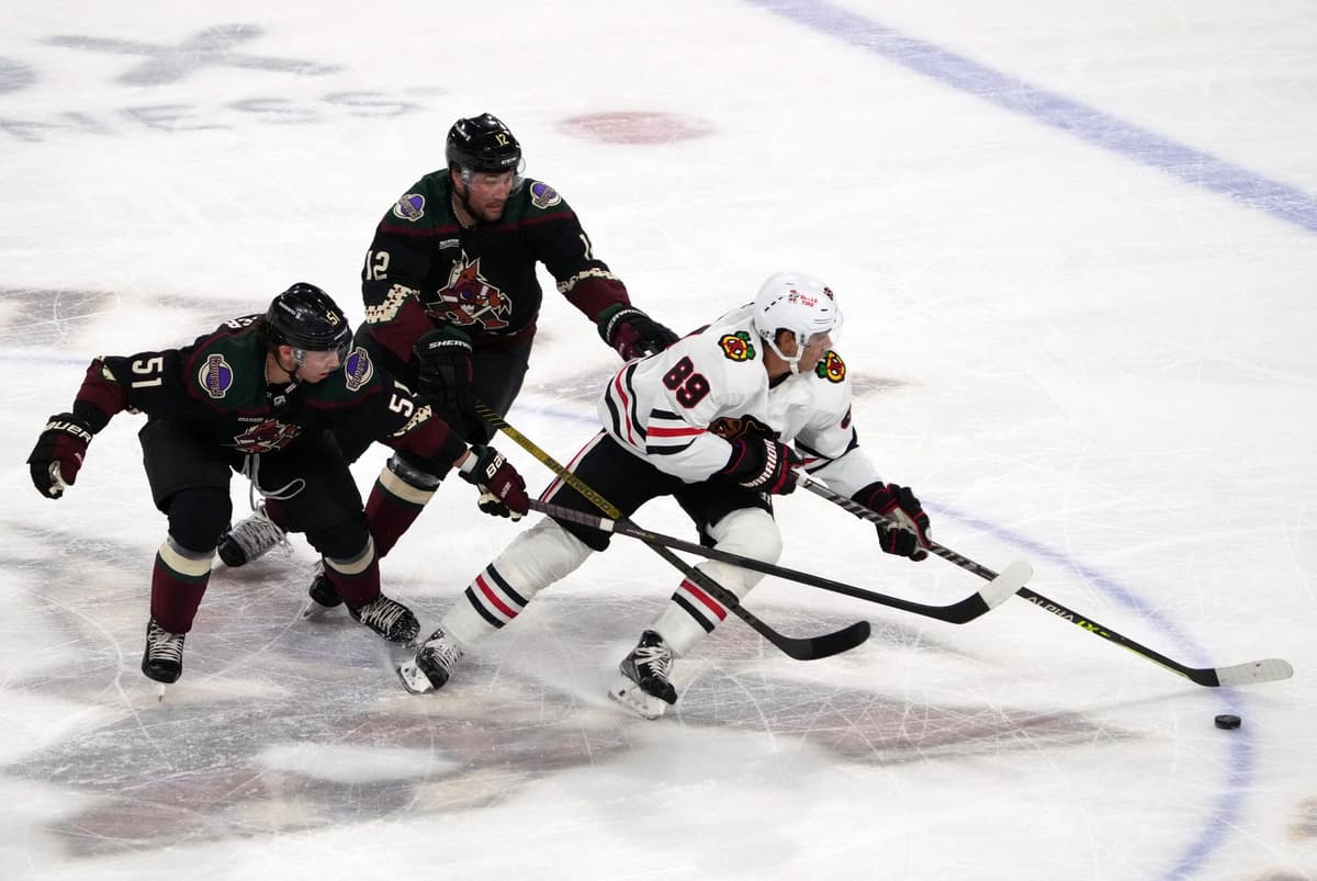 Calgary Flames acquire Troy Stecher and Nick Ritchie from Arizona Coyotes