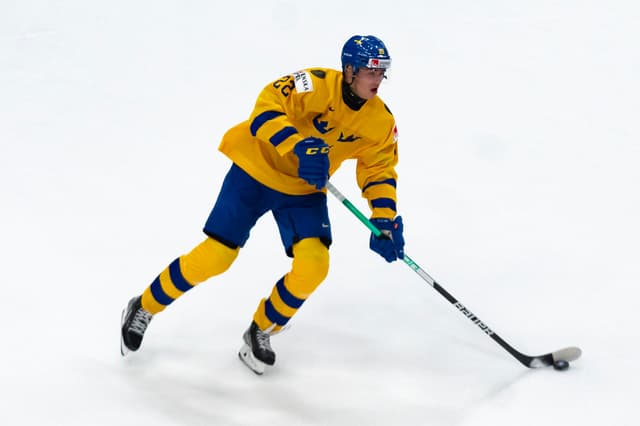 Defenseman William Wallinder signs entry-level deal with the Detroit ...