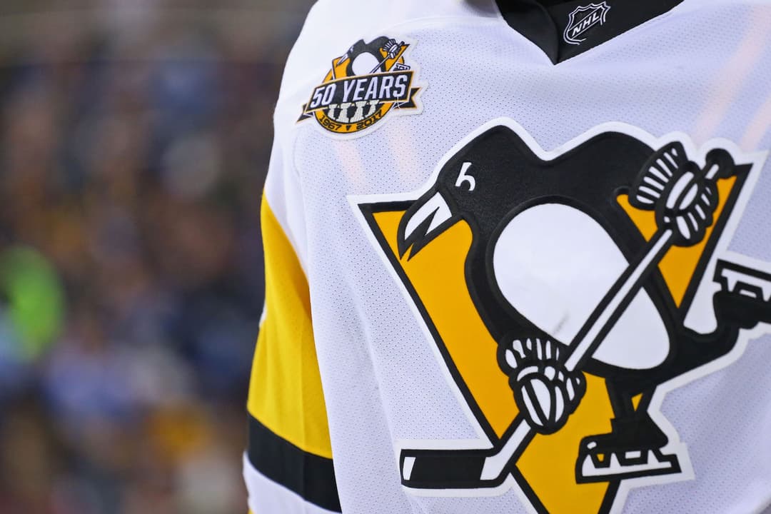 Fenway Sports Group sell Pittsburgh Penguins to Hoffmann family