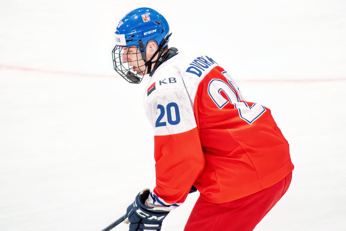 Los Angels Kings sign Jakub Dvorak to entry-level contract