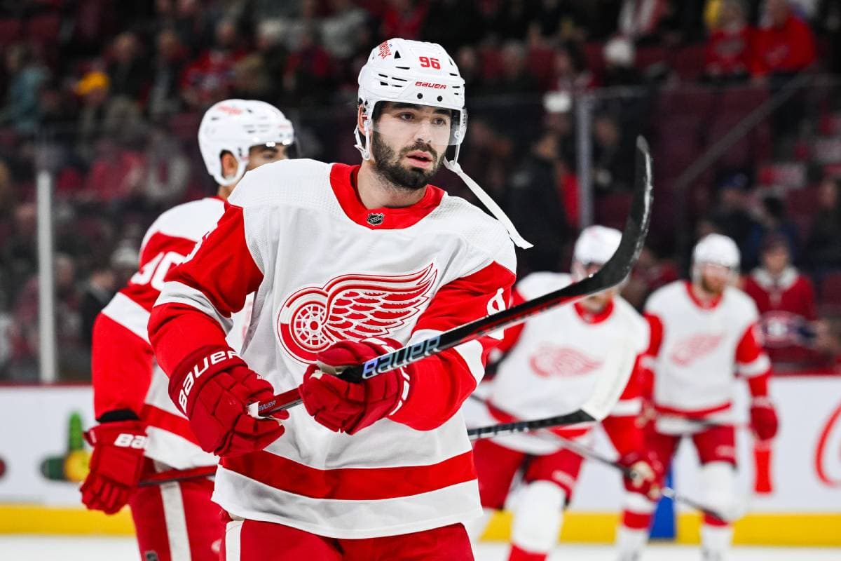 Sharks acquire Jake Walman, 2024 second-round pick from Red Wings for ...