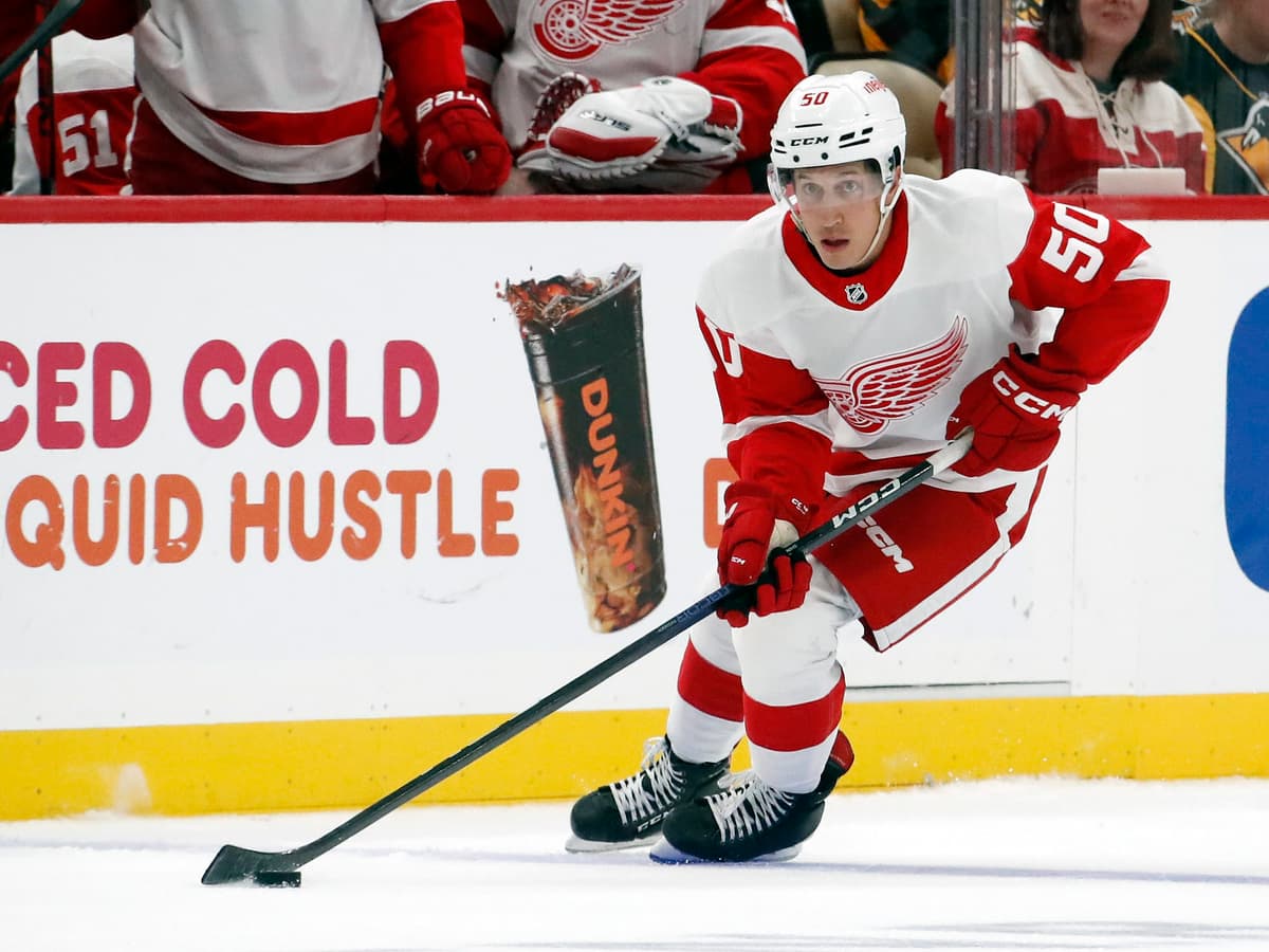 Red Wings’ Dominik Shine’s journey to the NHL is the ultimate underdog ...