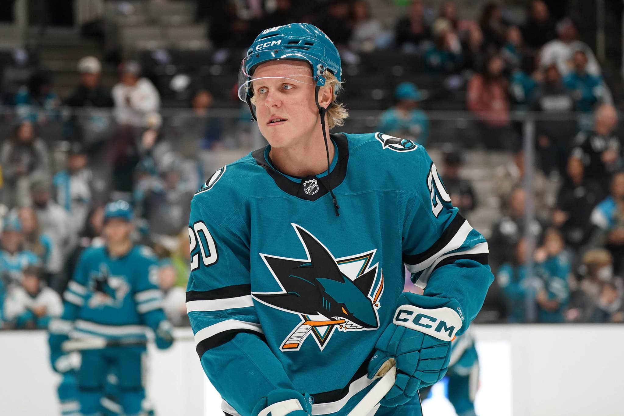 Senators acquire Fabian Zetterlund from Sharks in deal for Zack ...