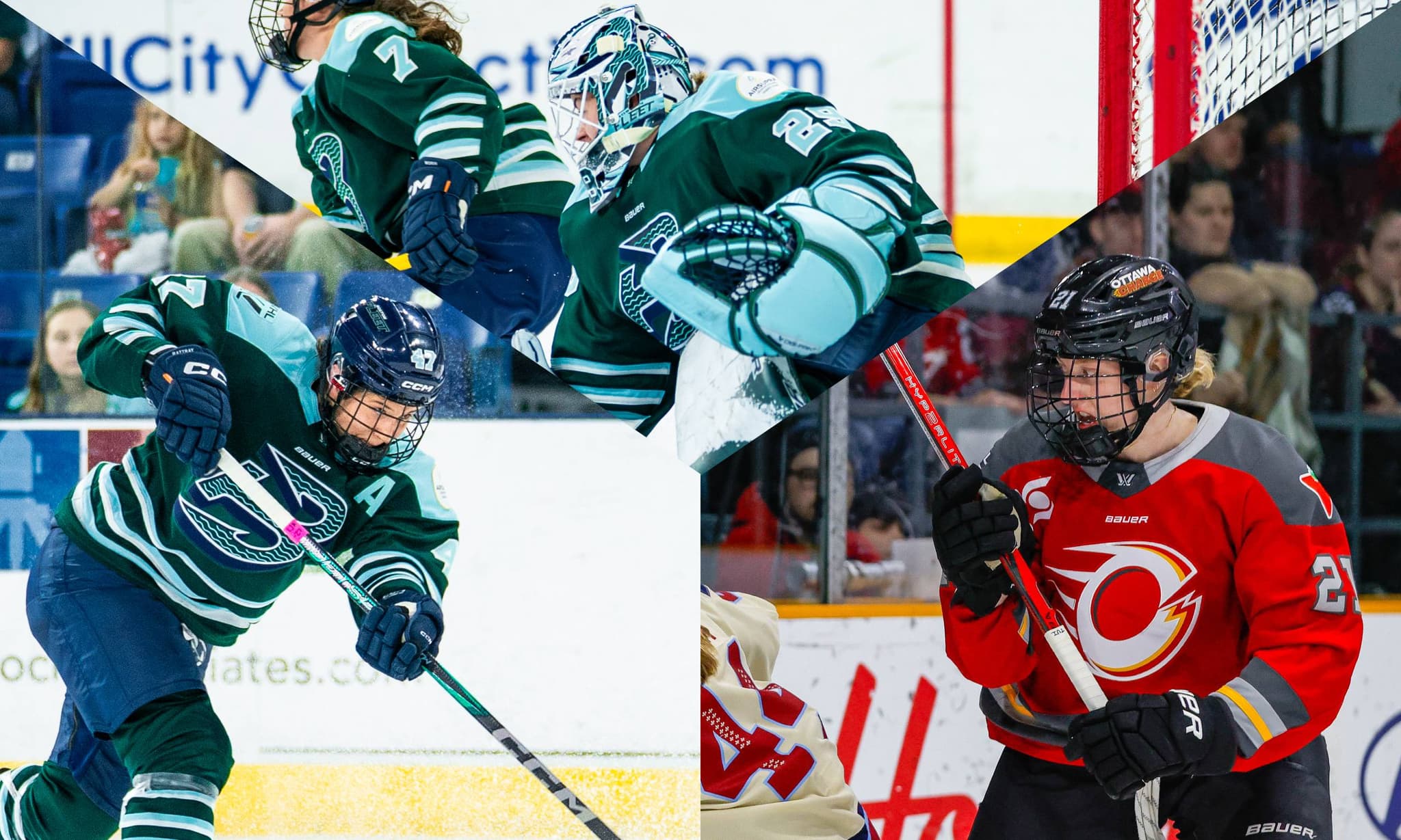 PWHL Players of the Week: Peslarova, Rattray, Bell play key roles in ...