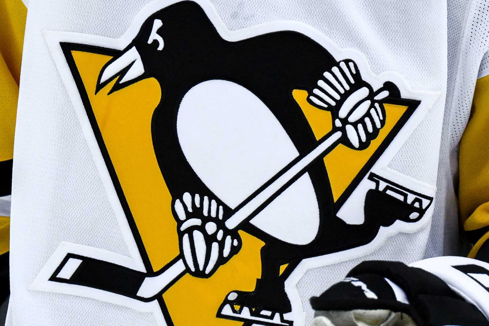 Chicago-based Hoffman family emerges as contender to buy Penguins