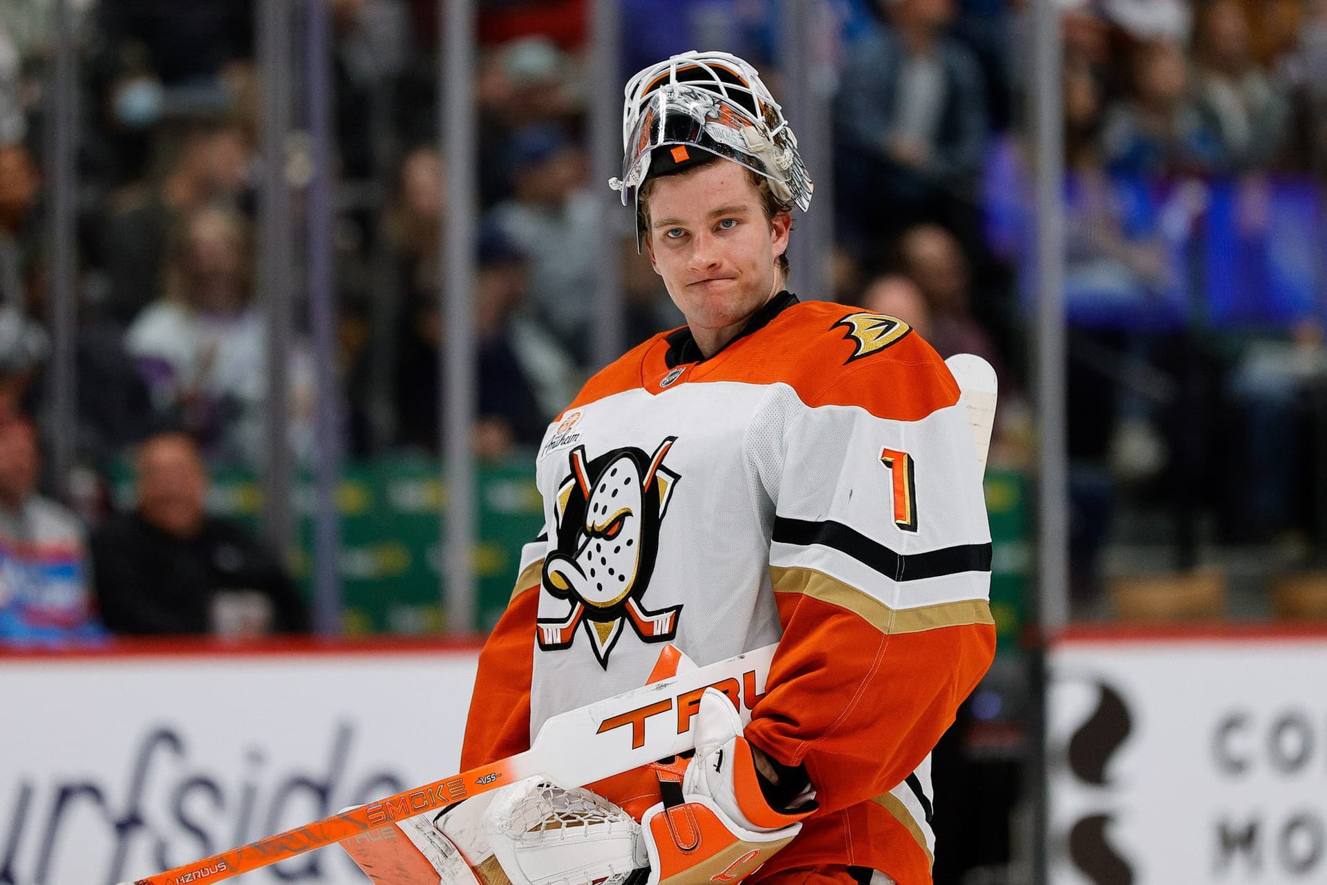 Ducks activate Lukas Dostal off injured reserve