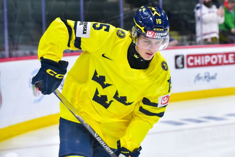 ‘I’m trying to recruit him a little bit’: Leafs’ Ekman-Larsson ...